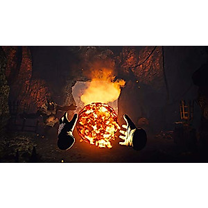 The Wizards (PSVR) (PS4)
