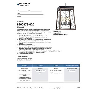 Progress Lighting P500178-020 Briarwood Hall & Foyer, Bronze