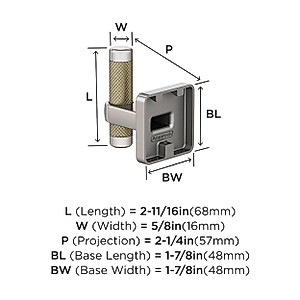 Amerock BH36563PNBBZ | Polished Nickel/Golden Champagne Single Robe Hook | 2-11/16 in. (68 mm) Length Towel Holder | Esquire | Towel Hook for Bathroom | Bathroom Hardware | Bath Accessories