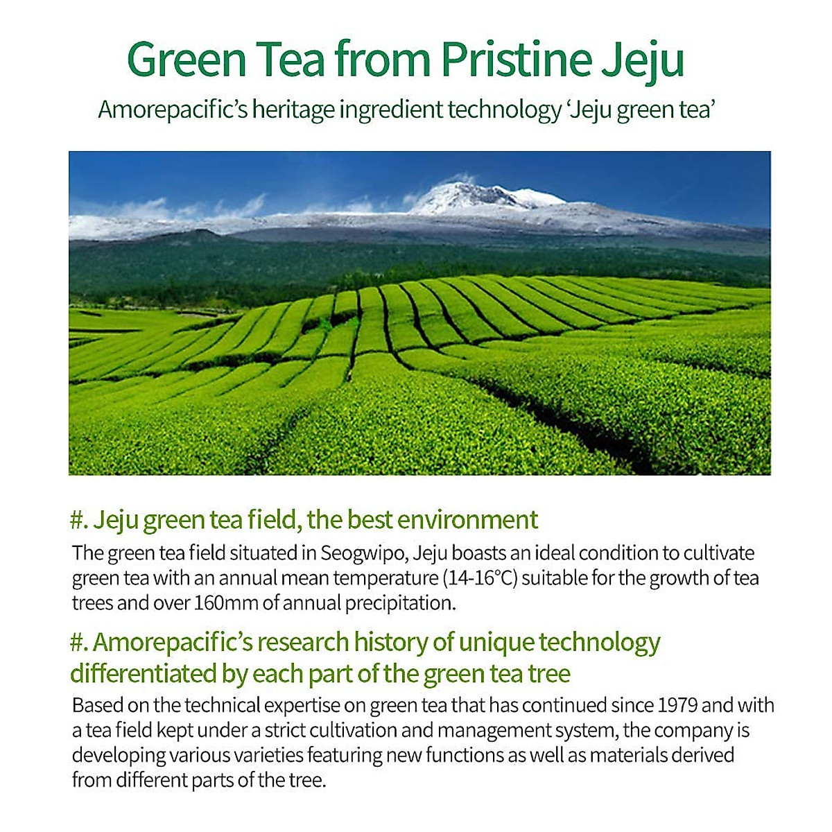 AMOS PROFESSIONAL The Green Tea Shampoo [Moist - For Normal/Dry Scalp] 17.6oz (500g) | Anti-Thinning & Anti- Hair Loss Shampoo for Hair Growth and Moisture | Korean Hair Salon Brand