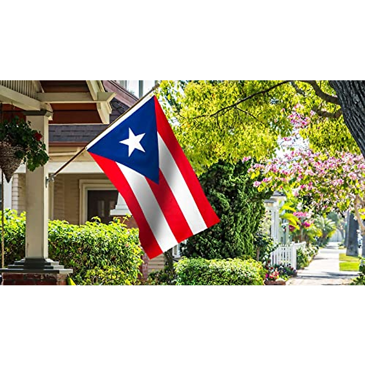 DANF Puerto Rico Flag 3x5 Foot Polyester Puerto Rican National Flags Polyester with Brass Grommets 3 X 5 Ft