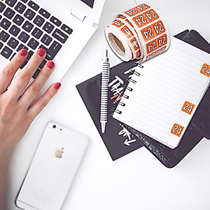 500 Pcs 2024 Year Stickers Year Labels File Folder Rectangle Colored Coding Year Stickers Self Adhesive Year Labels Tab File Folders Office Supplies, 1 Roll (Orange,0.75 x 1.52 Inch)
