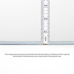 Addison Rugs Chantille ACN598 Gray 2'6" x 3'10" Indoor Outdoor Area Rug, Easy Clean, Machine Washable, Non Shedding, Bedroom, Living Room, Dining Room, Kitchen, Patio Rug