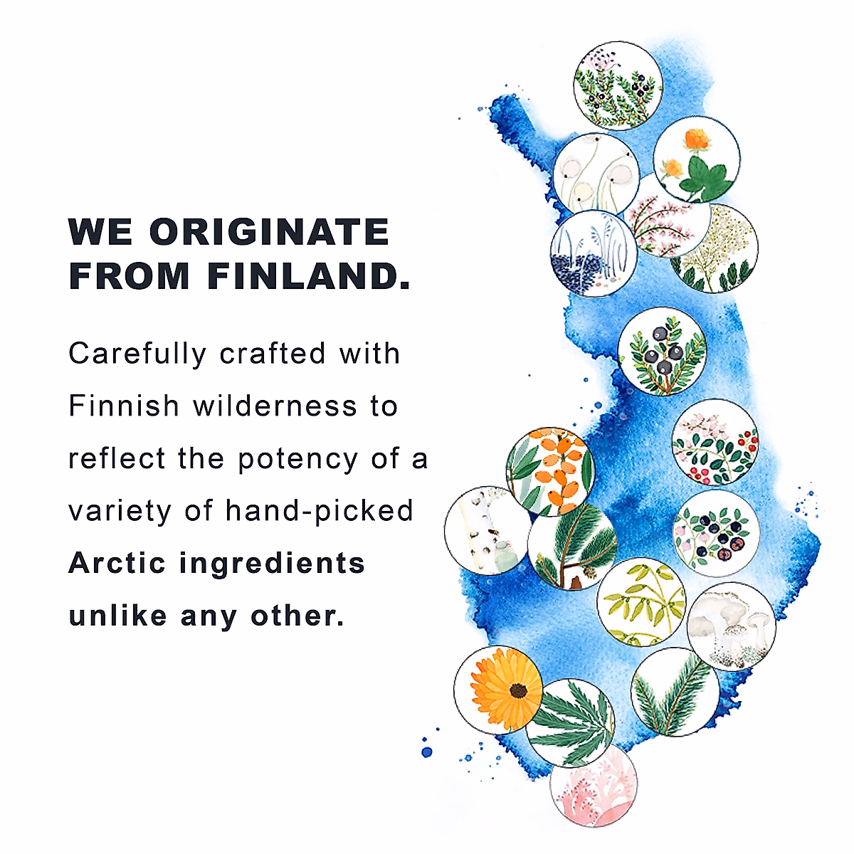 Lumene Nordic-C Glow Reveal Facial Moisturizer - Antioxidant-Rich Vitamin C Face Cream - Hydrating Hyaluronic Acid Moisturizer with Vitamin B3 + B5 to Promote Radiant & Youthful Skin (1.7oz)