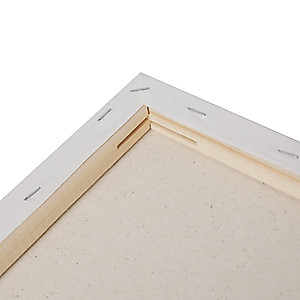 Zingarts Canvases for Painting 8x10Inch 10-Pack,100% Cotton Primed Painting Canvas Panels, Stretched Canvas Boards is for Professionals,Students & Kids, for Acrylic Paint, Oil, Watercolor, Gouache