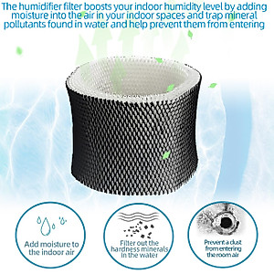 Alocs HWF75 Humidifier Filter D Replacement for Holmes - HM3500 HM3600 HM3650 HM3655 HM3656; Honey-well HCM6009; Sunbeam SCM3501 SCM3609 SCM3755C humidifier (2 Pack)