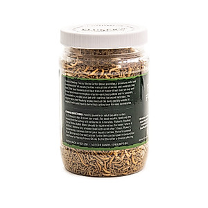 Fluker's Aquatic Turtle Buffet Blend Feeding Frenzy Sticks, 11.5 oz