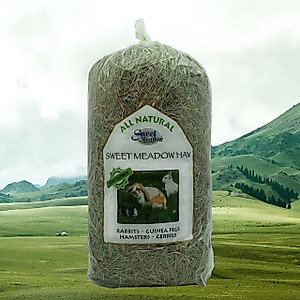 Sweet Meadow Farm Sweet Meadow Hay Small Pet Food, 20-oz Bag