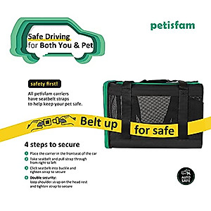 petisfam Soft Pet Carrier Bag for Easy Travel with Medium, Large Cats, 2 Kitties and Small Dogs. Easy to get Cat in. Easy Vet Visit. Easy Storage. Black w/Green Trim, L