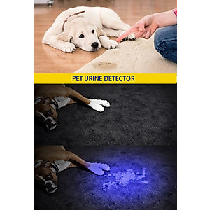 DARKBEAM UV 365nm Light Wood's lamp Blacklight Ultraviolet Flashlight LED Portable Mini Handheld Torch Detector for Dog Urine Pet Stains 370nm Anti-counterfeiting Identification, Resin Curing