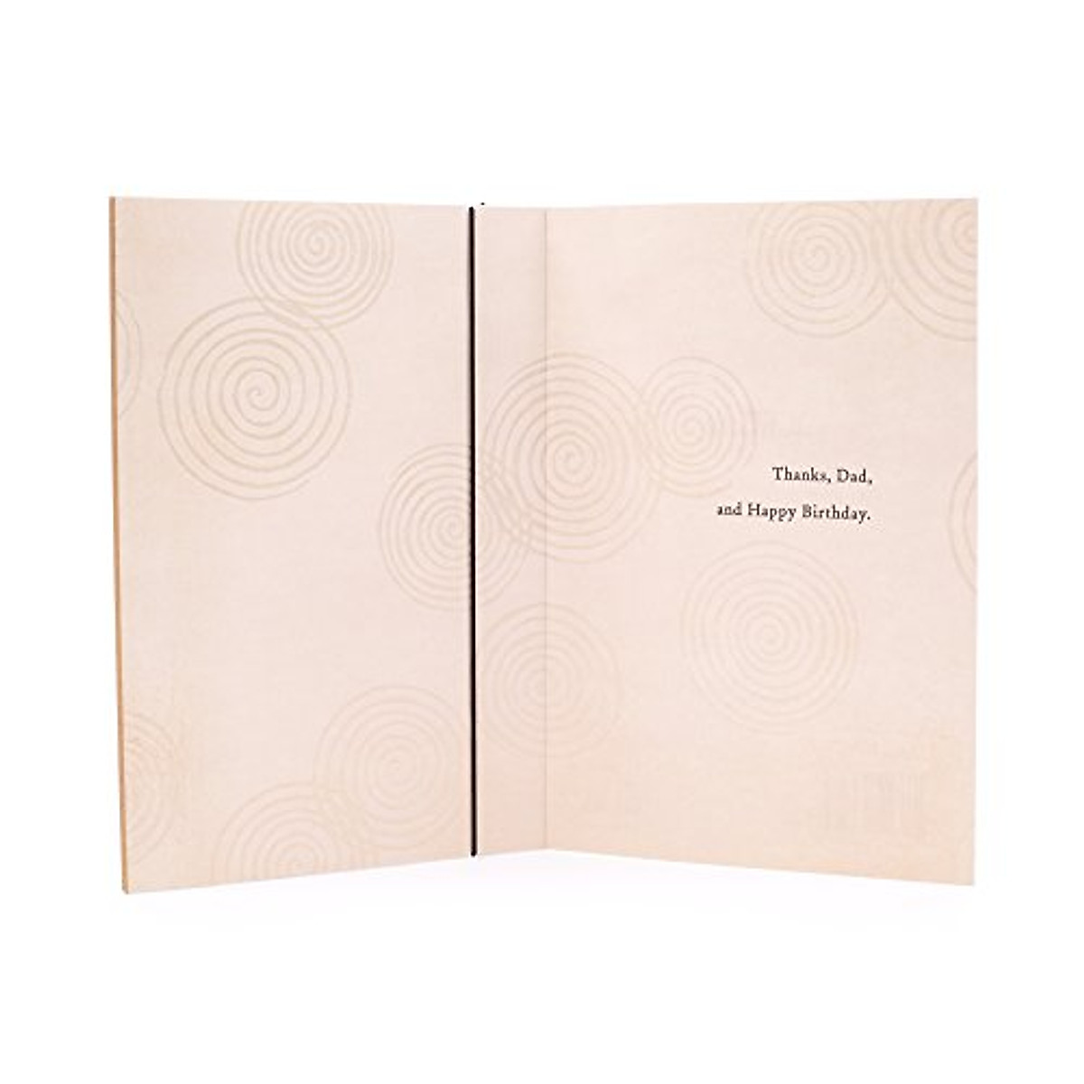 Hallmark Birthday Card for Dad (No Training Manual)