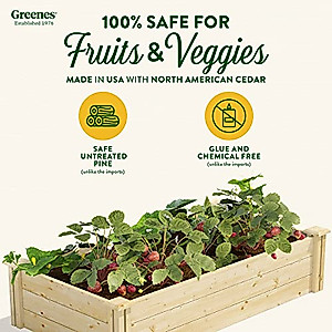 Greenes Fence Original Pine Raised Garden Bed, 2' x 4' x 10.5" - Made in USA with American Pine