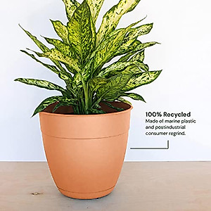 Bloem Dayton Planter with Saucer: 16" - Coral - 100% Recycled Plastic Pot, Removable Saucer, Elevated Feet, for Indoor and Outdoor Use, Gardening, 8.5 Gallon Capacity