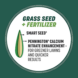 Pennington Smart Seed Sun and Shade Tall Fescue Grass Seed Mix for Southern Lawns 20 lb