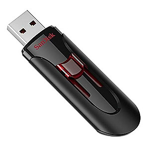SanDisk Cruzer Glide 3.0 256GB USB Flash Drive (SDCZ600-256G-G35) High Performance Pen Drive Bundle with (1) Everything But Stromboli Lanyard