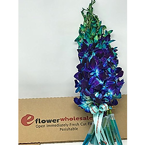 eflowerwholesale - Premium Cut Blue Orchids (10 stems Orchid with Rhinestone Mesh Ribbon Vase)
