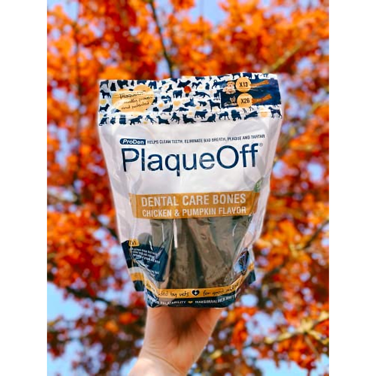 ProDen PlaqueOff Dental Bones Chicken & Pumpkin 17 Ounce
