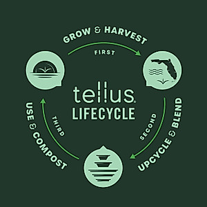 Tellus Products, Eco-Friendly (125-Count) 10-Inch Disposable Plates - Compostable, Durable Tableware - Grown & Made in the USA - No PFAS Added (Natural Color)