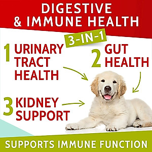 PAWFECTCHEW Dog Pee Grass Restore + Probiotics for Dogs Bundle - Dog Urine Neutralizer for Grass Burn Spots, Lawn Repair - Allergy Relief Dog Probiotics Chews + Digestive Enzymes - Made in USA