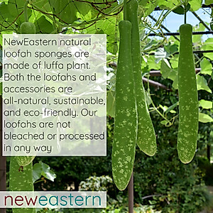 NewEastern Natural Turkish Loofah Sponge, Exfoliating Body Scrubber (5.9", 3 Pack)