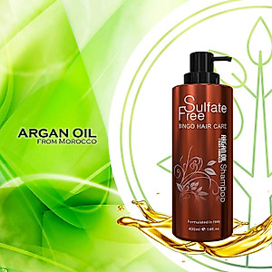 BINGO HAIR CARE Moroccan Argan Oil Shampoo and Conditioner Set