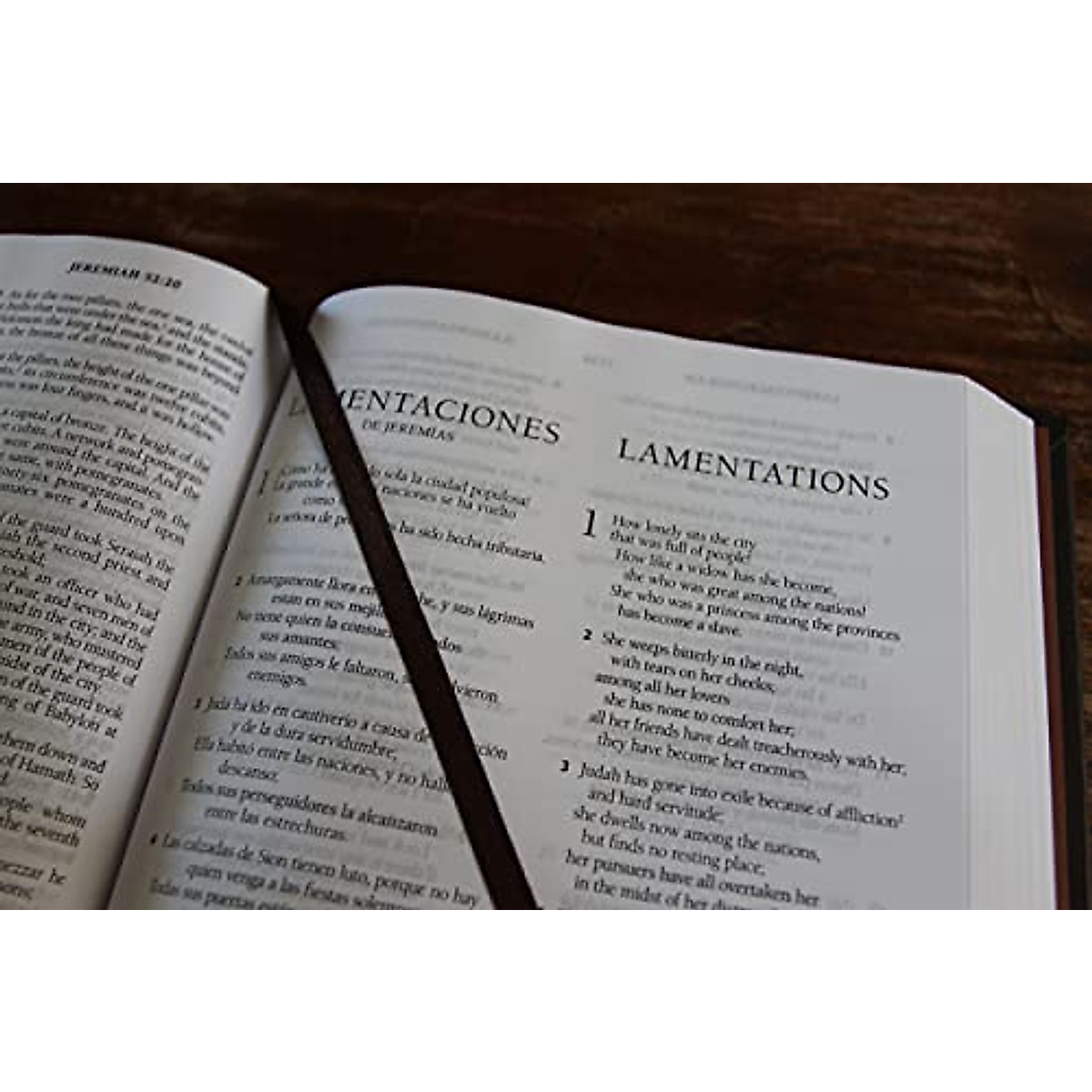 Biblia Bilingüe Reina Valera 1960/ ESV Spanish/English Parallel Bible (English a nd Spanish Edition): Brown Hardcover