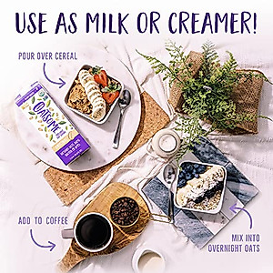 Oatsome Organic Oat Milk, 1-Liter Cartons, 6 Count, Regular, 202.86 Fl Oz