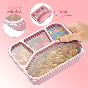 XGXN Bento Box Adult Lunch Box (4 Pack), 5-Compartment Meal Prep Container for Kids, Reusable Food Storage Containers with Transparent Lids, No BPA, Microwaveable (Wheat (Green/Blue/Pink/Beige))