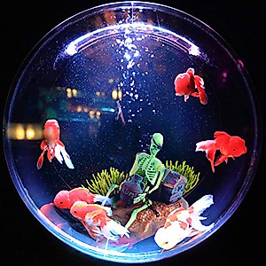 POPETPOP Aquarium Ornament Pirate Skeleton Decoration Skull Fish Tank Decor Cave for Hiding Betta Fish Accessories