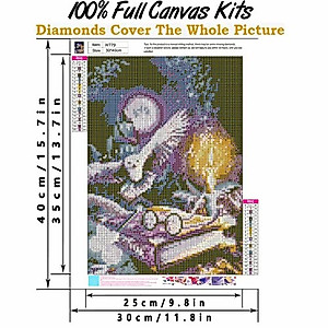 CHANGBAISHAN 5D Diamond Painting Kits for Adults and Kids - Full Drill Diamond Painting 12''×16'' - Crystal Rhinestone Diamond Art Kits for Beginners - Home Wall Decor