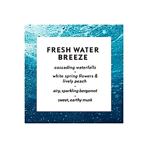 Air Wick 24382696 Air Wick Essential Mist Starter Kit Free Refill