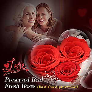 ADDWel Gifts for Mom from Daughter and Son, Mom Birthday Gift Idea from Kids, Unique Preserved Real Roses with I Love You in 100 Languages Mom Necklace, Cool Present to Mother Mama