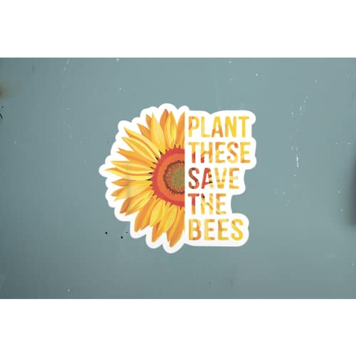 Plant These Save The Bees Honeybee 5 Inch Waterproof Sticker Décor Garden Honeycomb Bumble Dandelion Queen Honey Yard Spring Summer Butterfly Wildflower Honeybee Pollinator Indoor Outdoor Rock CS1458-2PK