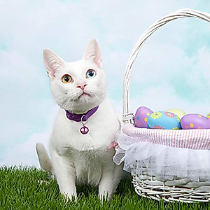 Outus 24 Sets of Cat Bells for Cat and Dog Collar Loud Pendant Pet Cat and Dog Bell Pet Pendant Accessories (Mixed Color)