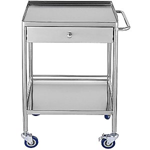 YIYIBYUS Stainless Steel Cart 2 Layer Medical Dental Laboratory Rolling Cart Mobile Equipment Serving Carts with Silent Wheel Trolley Cart