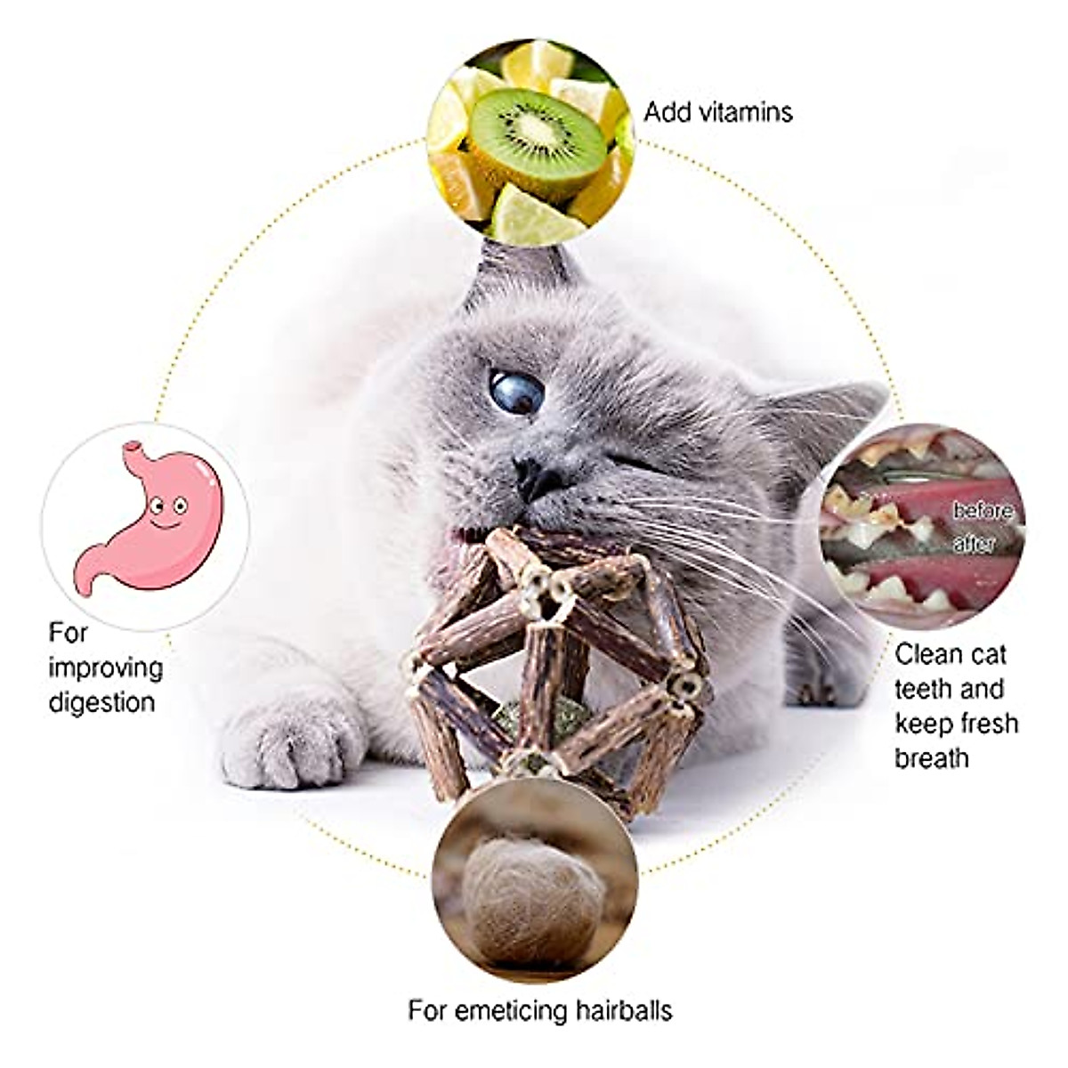 Gochanmon Catnip Toys-2Pcs Natural Silvervine Stick Catnip Ball&Bell Ball-Cat Toys for Indoor Cats- Cleaning Teeth Molar Tools Matatabi Cat Chew Toy-Kitten Toys