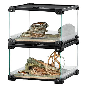 OIIBO Small Glass Reptile Terrarium 12.2" x 12.2" x 7.8" Top Feeding Reptile Tank Full View Visually Appealing Reptile Amphibians Habitat Enclosure