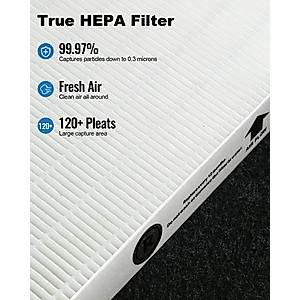 HPA300 Filter Compatible with Honeywell Purifier, Replacement Fit for HPA300 / HPA304 / HPA8350 / HPA5300 / HPA5350 Series