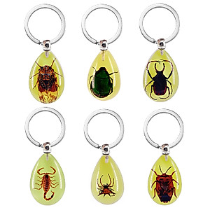 QTMY 6 Pack Insect in Resin Specimen Collection Luminous Glow in The Dark Keychain Keyring ,Halloween Christmas Science Classroon Decor Kits Set Education