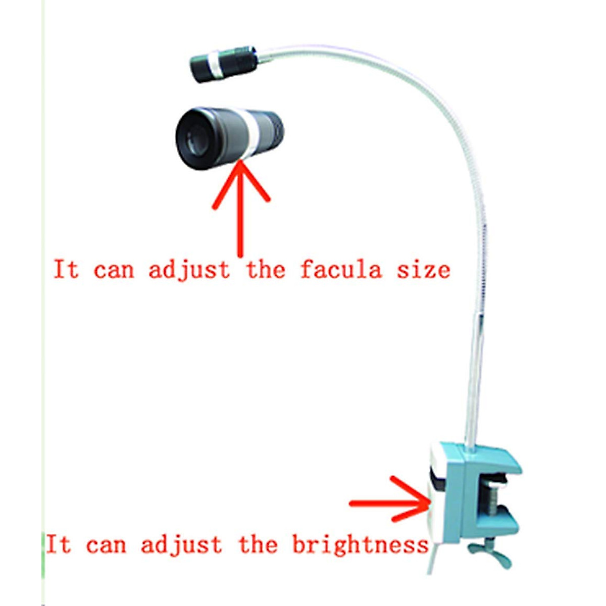 Supershu New LED 12W Medical Exam Surgical Examination Lamp