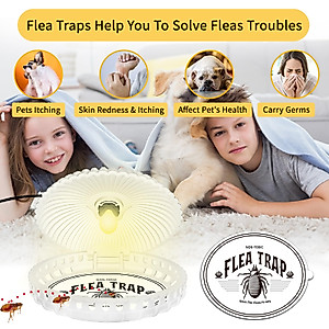 Flea Trap for Inside Your Home, Electric Flea Light, Refillable Flea Traps for Indoor with Refill Including Replacement Sticky Pads and Bulbs, Pet Safe, Pack of 2