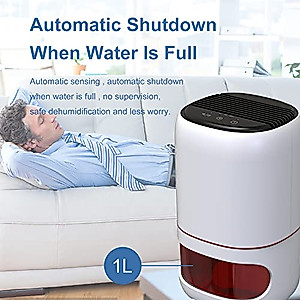 Dehumidifier And Air Purifier Combo，Depulat Small Dehumidifiers For Home Quiet With Auto Shut Off, Dehumidifiers for Bedroom (270 sq. ft), Bathroom, RV, Closet