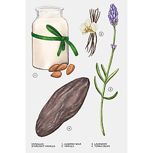 Zara Starlight Vanilla Perfume for Women EDP Eau De Parfum 30 ML (1.0 FL. OZ)