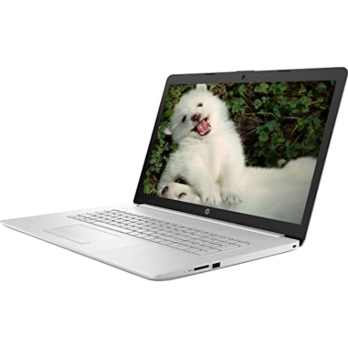 2022 HP 17.3" FHD IPS Laptop, 11th Gen Intel Core i5-1135G7(Beats i7-1065G7), 64GB RAM, 2TB PCIe SSD, Intel Iris Xe Graphics, HD Webcam, Windows 11 Pro, Silver, 32GB USB Card (Renewed)