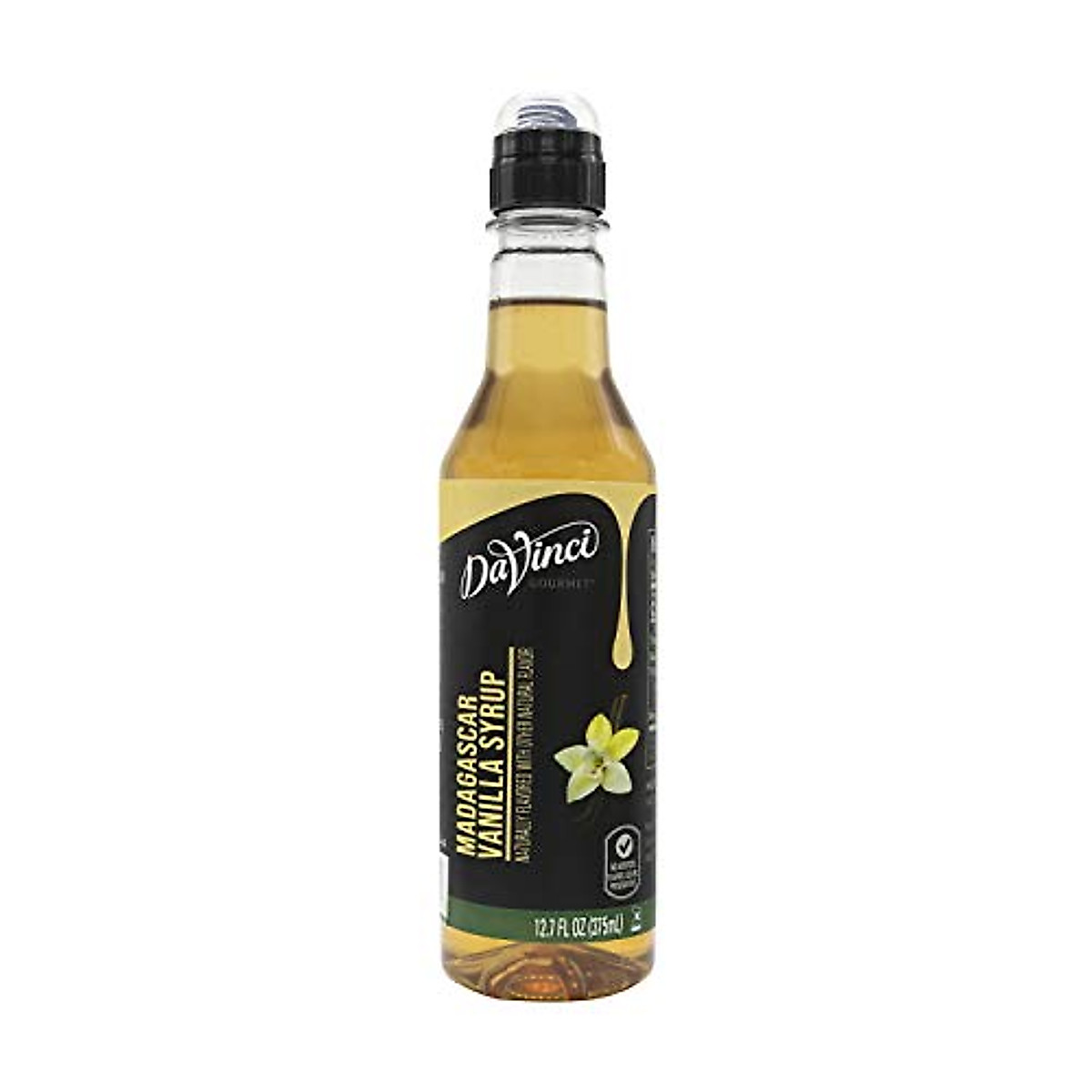 DaVinci Gourmet Madagascar Vanilla Coffee Syrup, 12.7 Fl Oz (Pack of 1)
