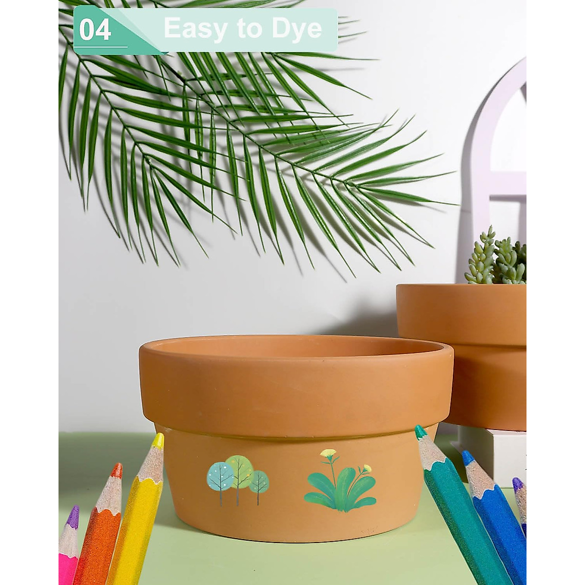 vensovo 8 Inch Terracotta Shallow Succulent Pot - 2 Pack Large Terra Cotta Clay Pot with Saucer, Cacuts Indoor and Outdoor Planters with Drainage Hole