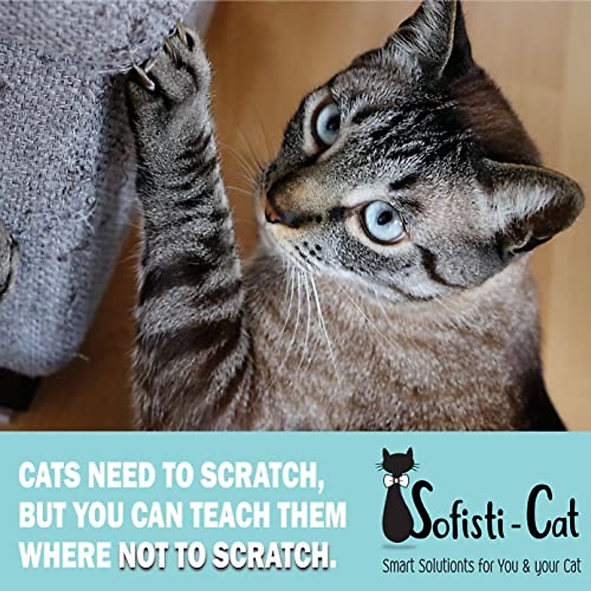 Sofisti - Cat Scratch Deterrent Tape for Furniture – 10 Double Sided Anti Scratching Sticky Tape - Cat Scratch Furniture Protector – Cat Training Tape Teaches Your Kitty Not to Scratch Your Couch