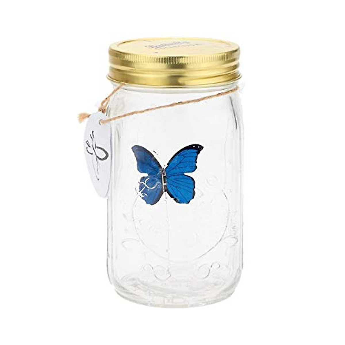 Butterfly in a Jar, Glass Animated Butterfly In A Jar With LED Light Gift Decoration (Blue)
