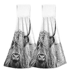Qilmy Hand Towels Set of 2, Absorbent Hanging Towels with Loop & Hook, Dishcloths Wash Cloth for Kitchen Bathroom, Highland Cow