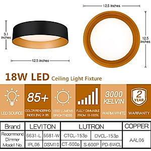 Bargeni Flush Mount Ceiling Light,12.5 inch LED Ceiling Light Fixture,Matte Black with Gold Inside,3000K/Warm White/18W(100w Equiv.),Dimmable Outdoor Lighting Fixtures Ceiling for Bedroom and Hallway